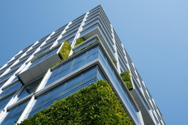 Carbon markets, explained