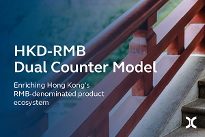 HKD-RMB Dual Counter Model, Explained